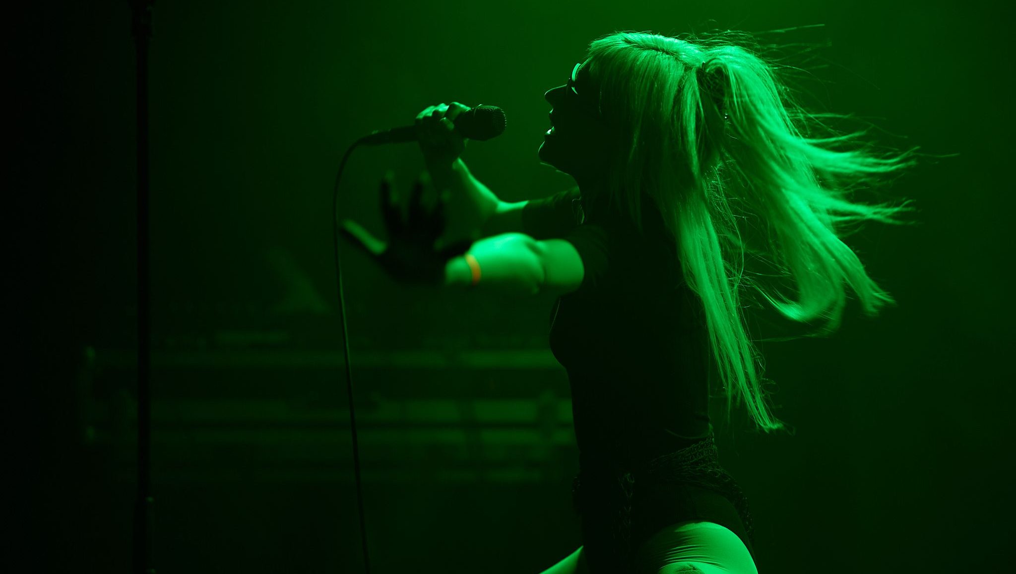 Faunea - Forever - Lefuturewave